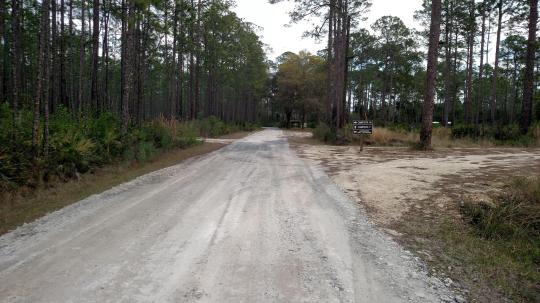 Campgrounds and Camping - Florida State Forests