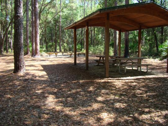 Campground Details - Hammock Campground Jennings State Forest, FL ...