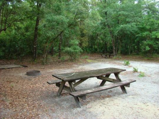 Campground Details - North Fork Black Creek Camp Zone Jennings State ...