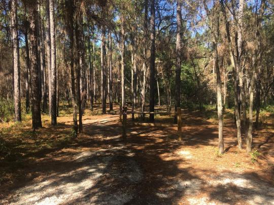 Facility Details - Watermelon Pond Primitive Campsites Goethe State ...