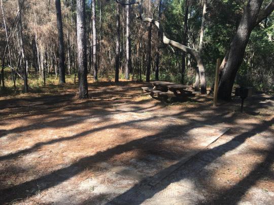 Campground Details - Watermelon Pond Primitive Campsites Goethe State ...