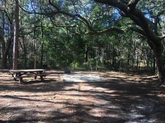 Campground Details - Watermelon Pond Primitive Campsites Goethe State ...