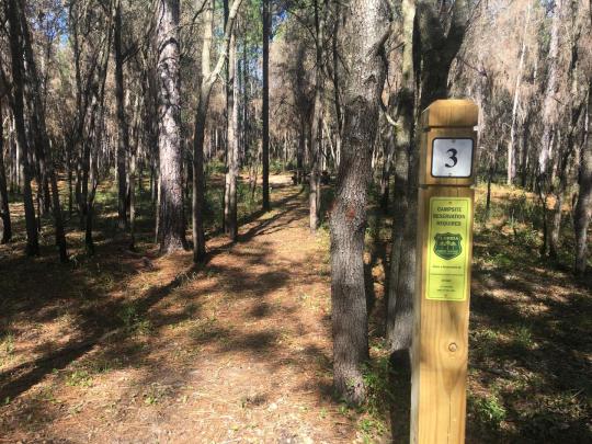 Campground Details - Watermelon Pond Primitive Campsites Goethe State ...