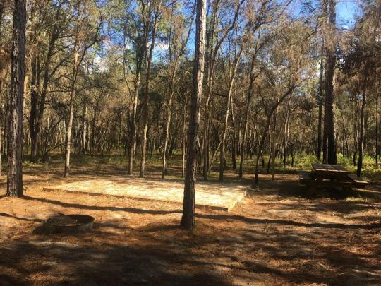 Campground Details - Watermelon Pond Primitive Campsites Goethe State ...