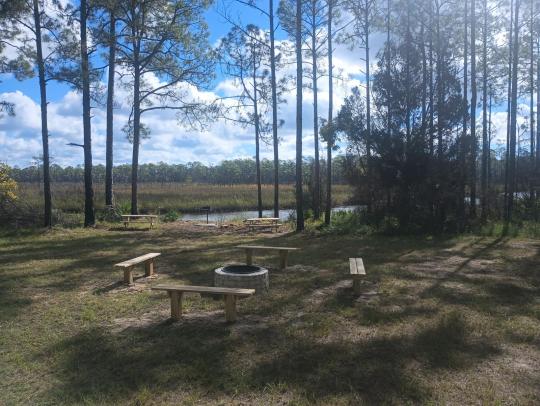 Campground Details - Tate's Hell State Forest Whiskey George Primitive ...