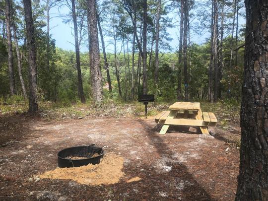 Campground Details - Tate's Hell State Forest Blue Spring Primitive ...