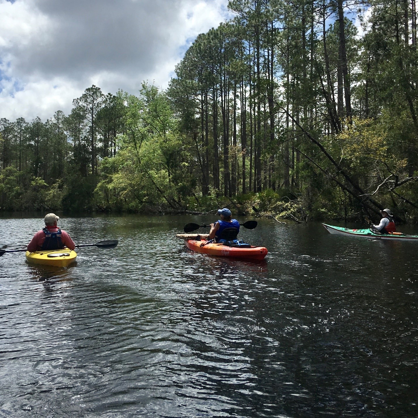 Passes - Florida State Forests